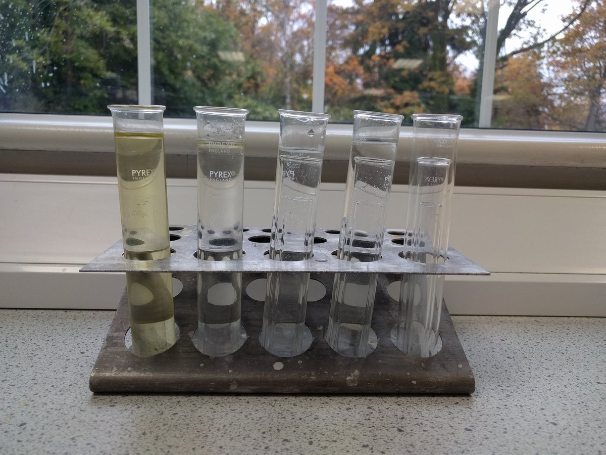 Boiling Tube vs Test Tube Showdown! - London Status
